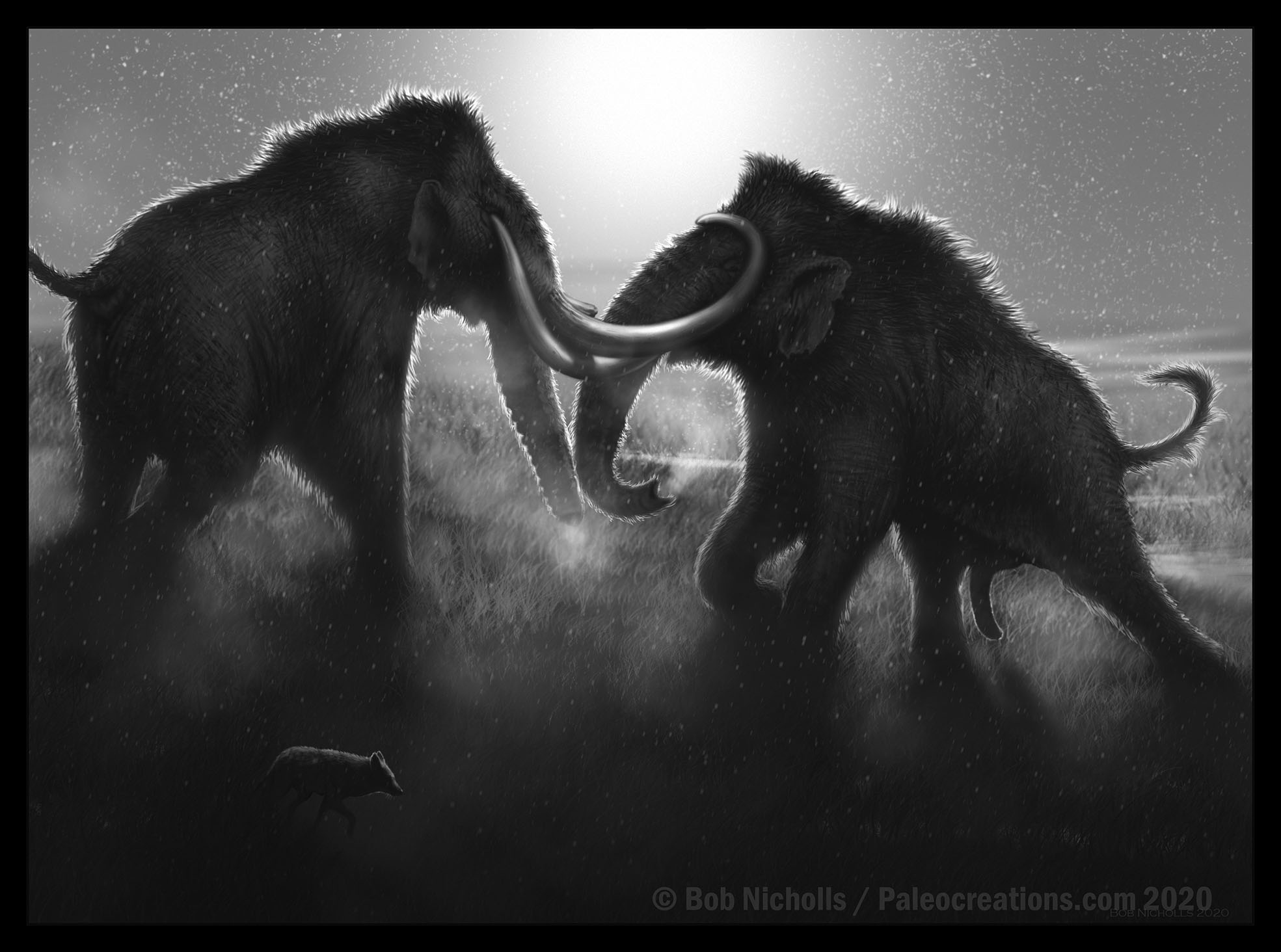 Five Extraordinary Discoveries That Will Change the Way You Look at ...